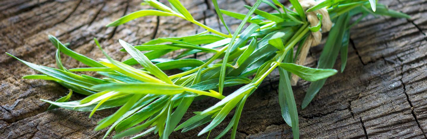 Tarhon - ce este, cum se consuma si ce beneficii are (7 sfaturi utile ...