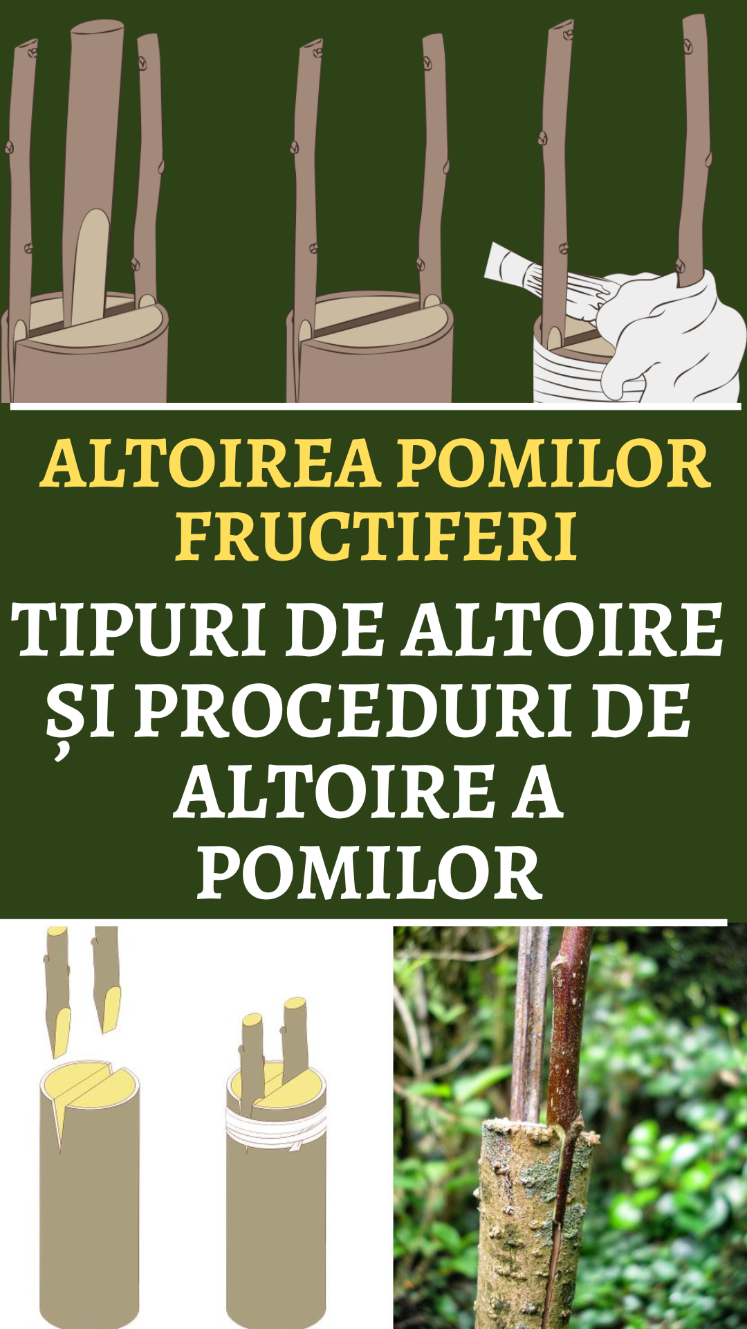 Altoirea pomilor fructiferi, diferitele tehnici - Agricultura