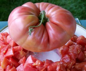 Soiuri de roșii: cele mai bune și cele mai gustoase - Agricultura