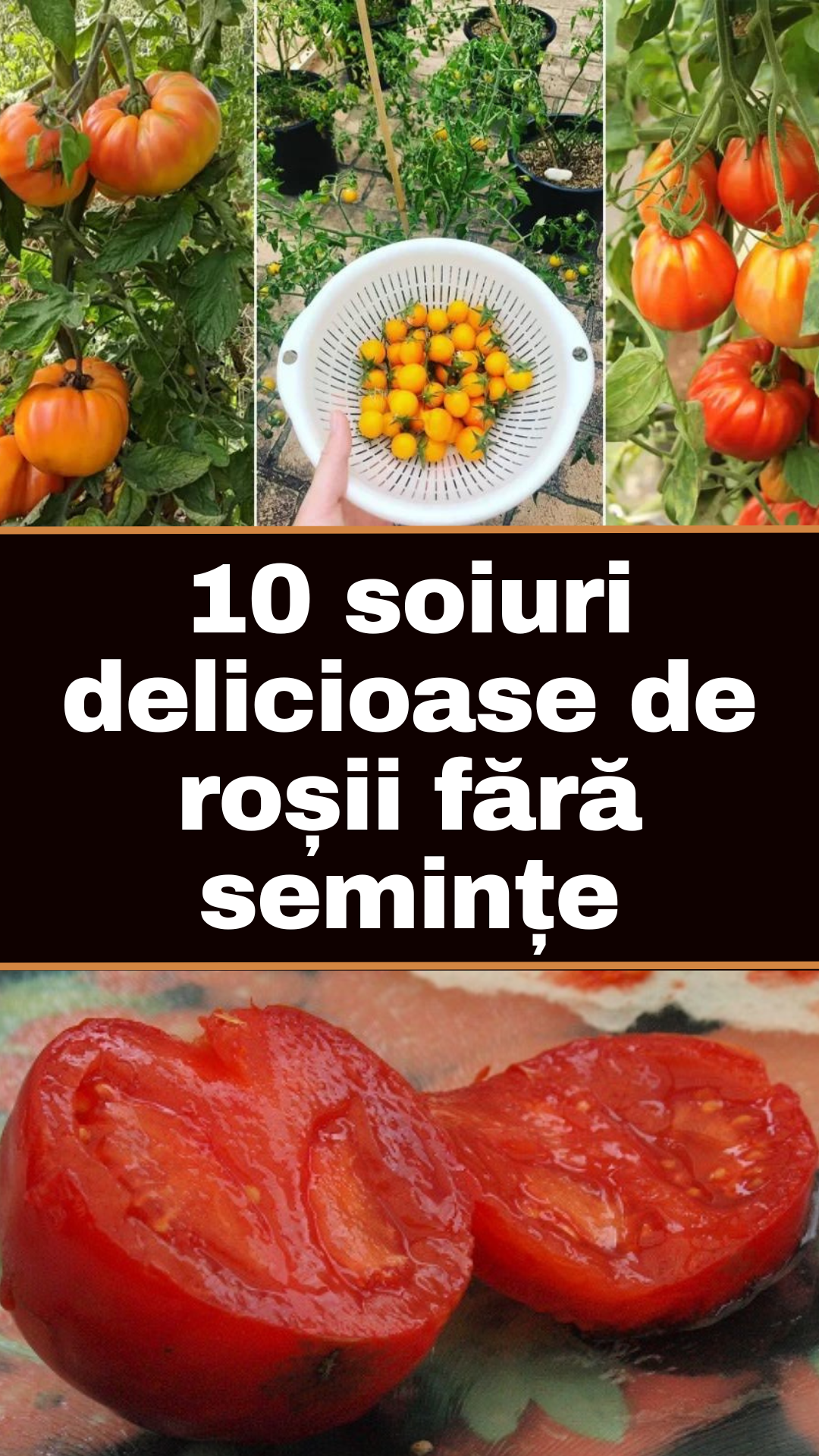 10 soiuri delicioase de roșii fără semințe - Agricultura