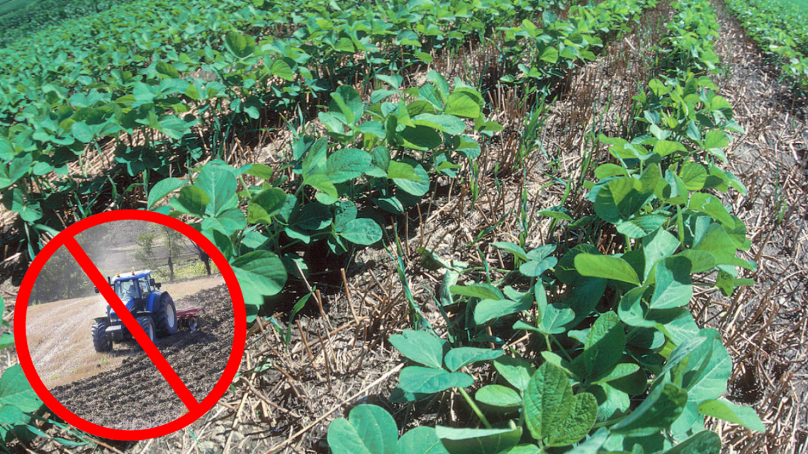 Agricultură fără arat este posibilă? Iată ce spun cercetătorii despre ...