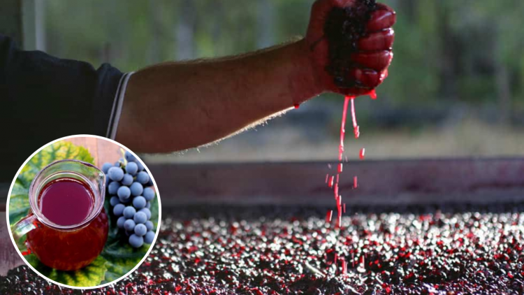 Cum să faci cel mai dulce must de struguri și cum să-l păstrezi peste ...