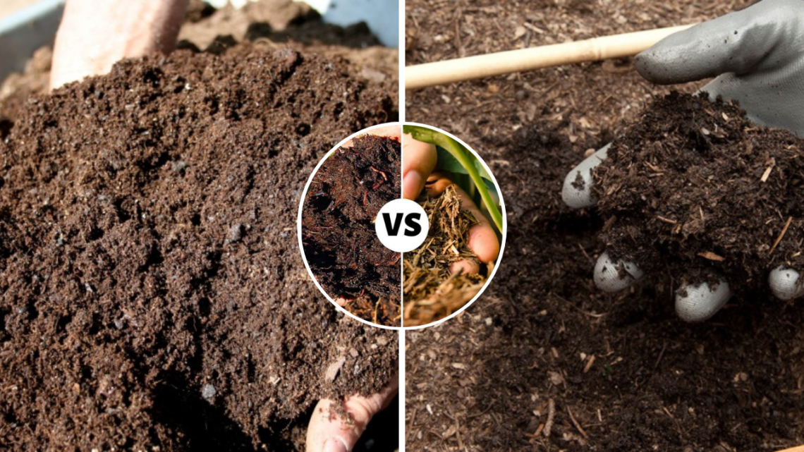 Din ce este format humusul: Aflați diferența dintre compost și humus ...